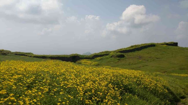 Korigad Fort Trek: Things to know before visit - September 2025