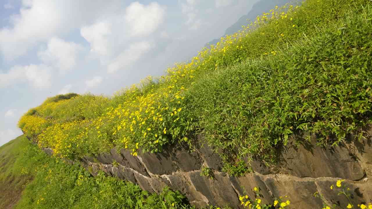 Korigad Fort Trek: Things to know before visit - September 2025